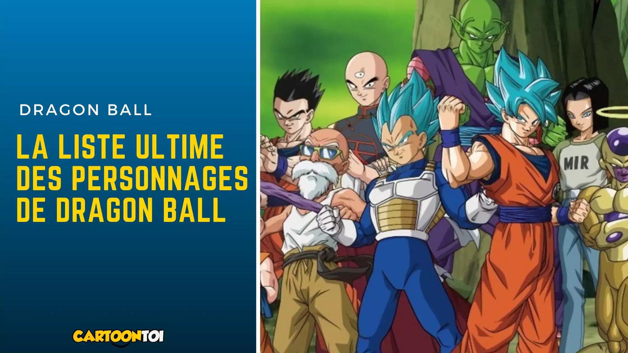 Dragon Ball Z Characters: Full List & Power Levels